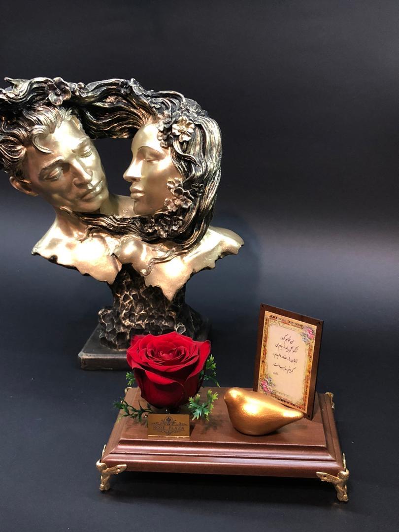 گالری – Rose Plaza